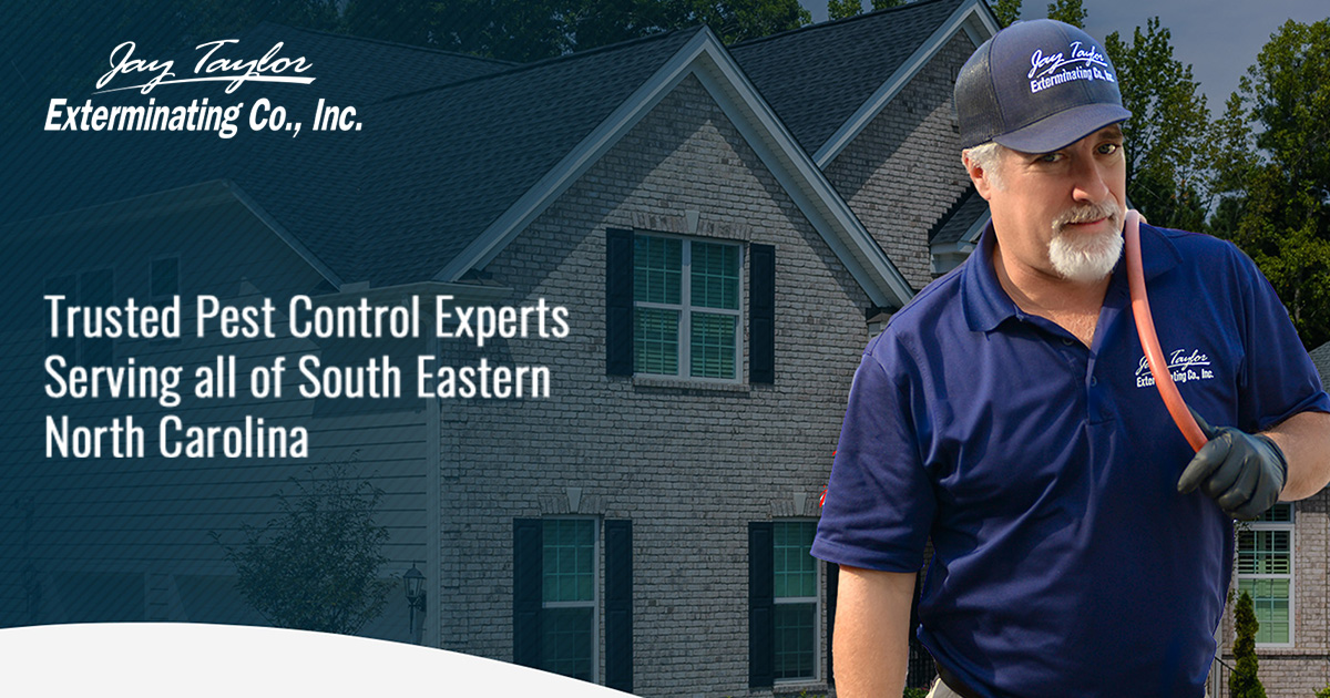 Home Pest Control In Wilmington, NC | Jay Taylor Exterminating