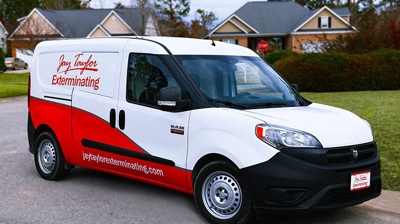 Home Pest Control In Wilmington, NC | Jay Taylor Exterminating