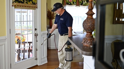 Home Pest Control In Wilmington, NC | Jay Taylor Exterminating
