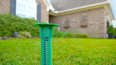 Termite Control in Southeastern North Carolina | Jay Taylor Exterminating